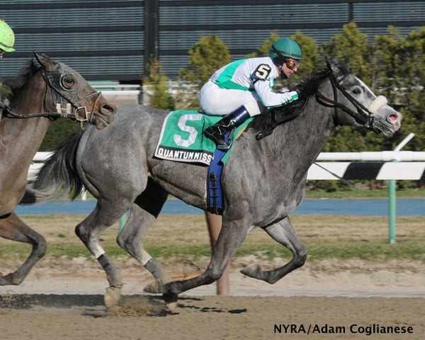 Dutrow: Quantum Miss could be among best of her generation - Paulick ...