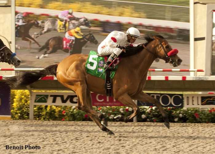 Fair Grounds: Tres Borrachos early choice in shrinking Mineshaft field ...