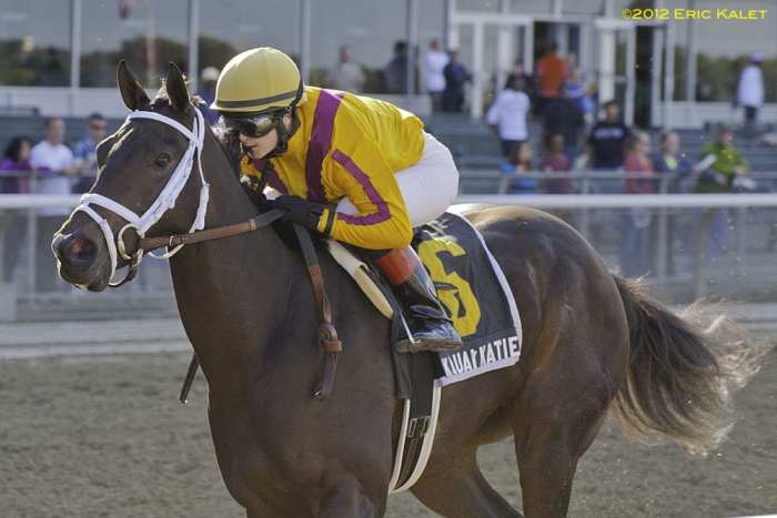 Kauai Katie stays undefeated in Matron victory - Paulick Report ...