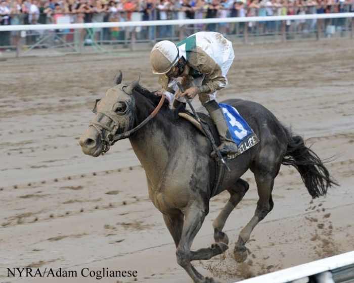 Multiple stakes winner Street Life retired - Paulick Report | Latest ...