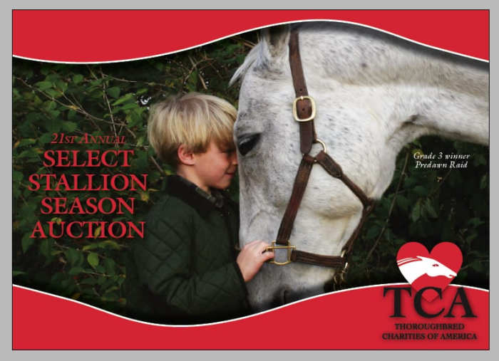 OTTB Showcase: Predawn Raid (a.k.a. Petey) - Paulick Report | Latest ...