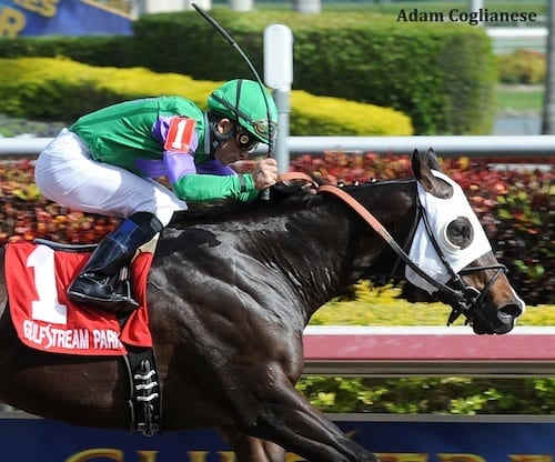 Merit Man wires Spectacular Bid - Paulick Report | Latest news and ...