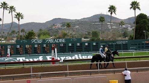 Longshot Winner At Turf Paradise Ran Under Wrong Name - Paulick Report ...