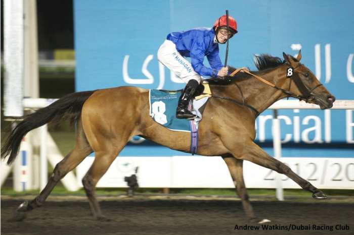Shuruq Sharp Winner of UAE Oaks - Paulick Report | Latest news and ...