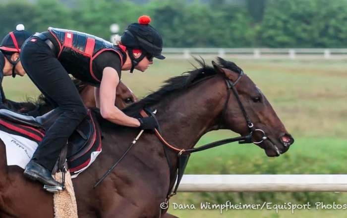 Orb Glows in Final Gulfstream Work Before Move to Churchill - Paulick ...
