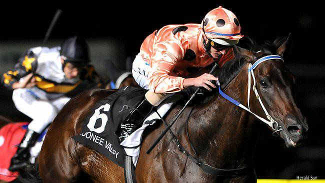 Retired, Not Forgotten: Black Caviar Tops Longines World's Best ...