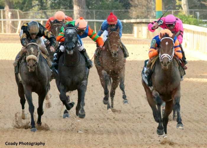 Overanalyze Draws Off to Convincing Arkansas Derby Win - Paulick Report ...