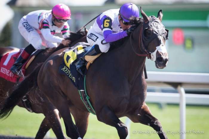 Handsome Mike Stares Down Gantry For Commonwealth Win - Paulick Report ...