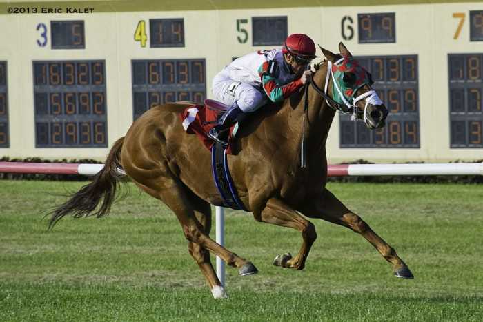 Tightend Touchdown Scores Pennsvylania Governor's Cup Win - Paulick ...