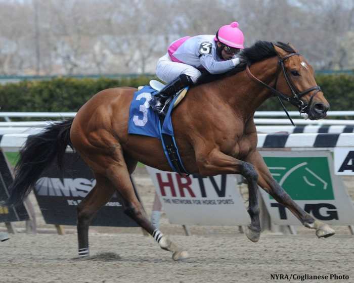 Vyjack Hopes to End Year on Winning Note in Queens County - Paulick ...