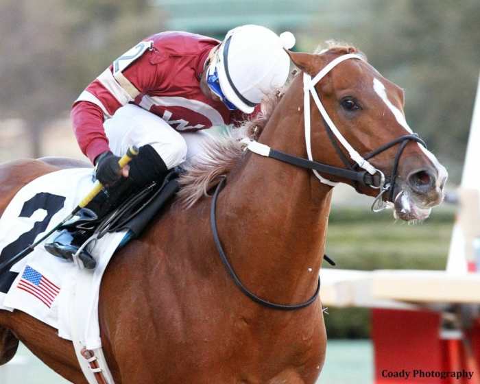 Tapiture To Stand At Darby Dan For 2016 Breeding Season - Paulick ...