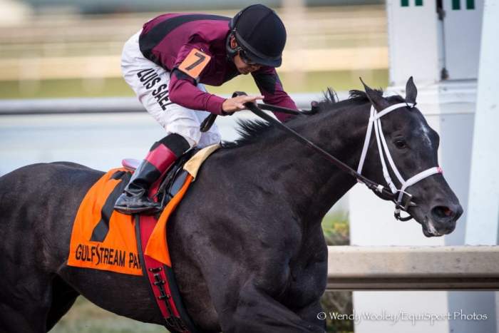 Bloodlines presented by VTA Stallion Season Auction: Finding a 'Prince ...