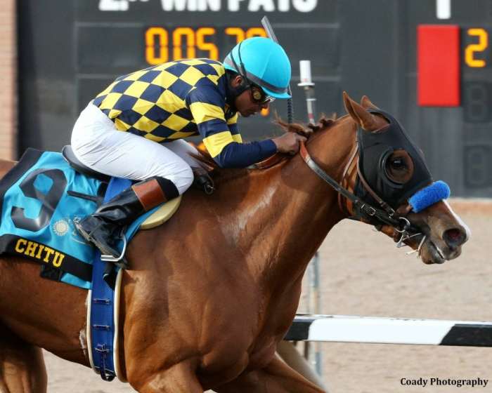 Florida Sire Chitu's First Winners Come At Gulfstream Park - Paulick ...