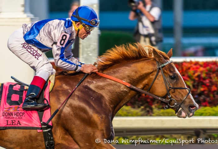 G1 Winner Lea Returns in Saturday's Hal's Hope - Paulick Report ...