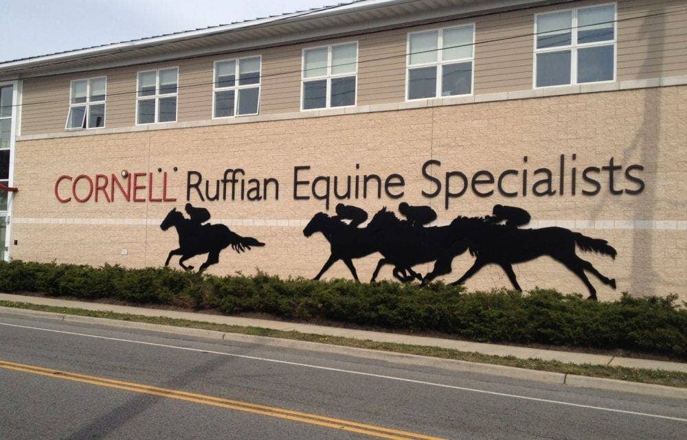 Cornell Opens Ruffian Equine Specialists Near Belmont Park - Paulick ...