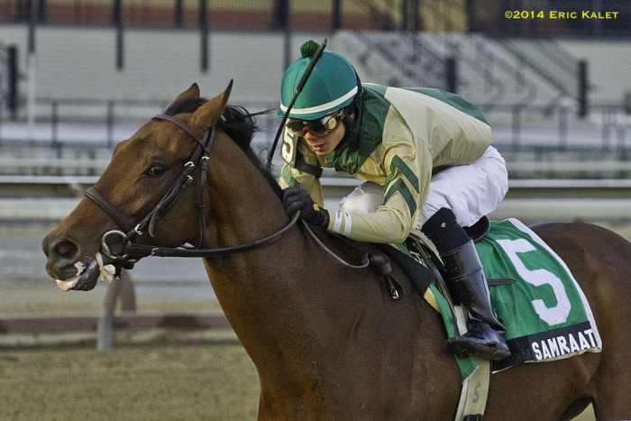 Samraat Keeps Perfect Record With Game Effort in Withers - Paulick ...