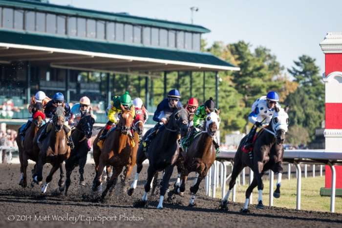 Keeneland Announces Switch From Polytrack to 'Next-Generation' Dirt ...