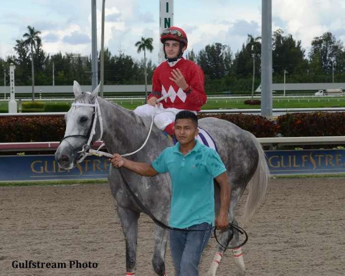 Apprentice Ritvo Wins Four on Gulfstream Card - Paulick Report | Latest ...