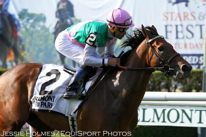 Riposte Kicks Clear in New York Stakes - Paulick Report | Shining Light ...