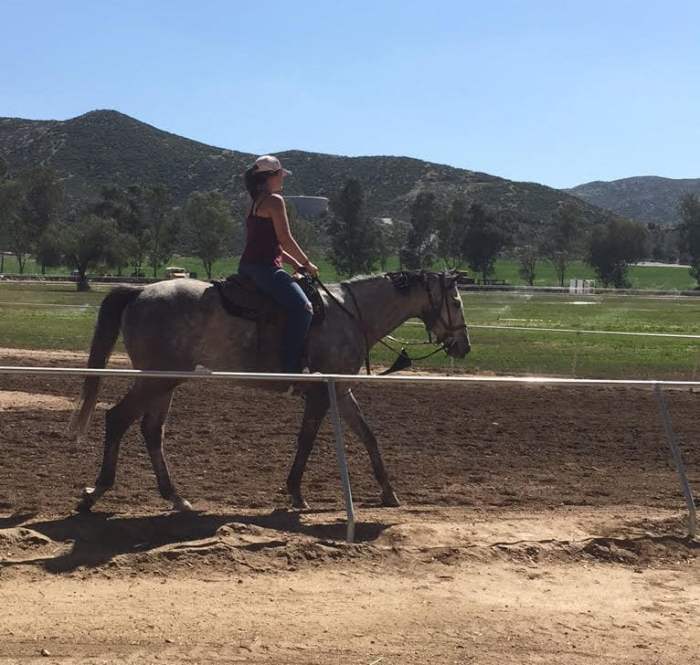 Cosequin Presents OTTB Showcase: Off To School - Paulick Report ...