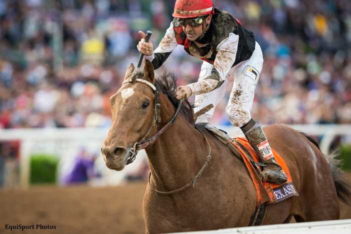 Texas Red Records First Breeze Back - Paulick Report | Latest news and ...