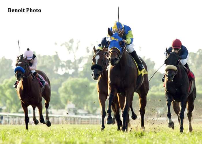 Belle Hill Gets First Graded Win In Autumn Miss - Paulick Report ...