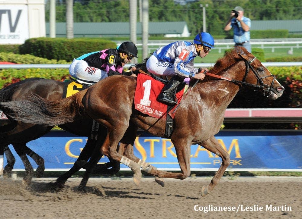Lea Rallies Late for Hal's Hope Score - Paulick Report | Latest news ...