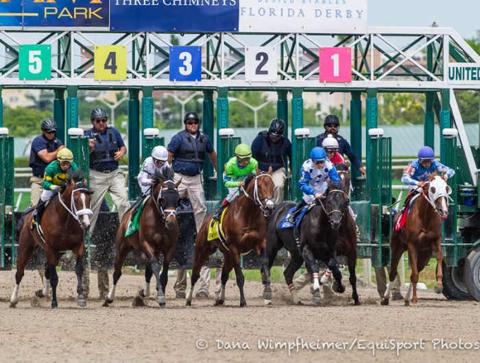 Making A Splash: Mulhall's First Starter A Winner At Gulfstream ...