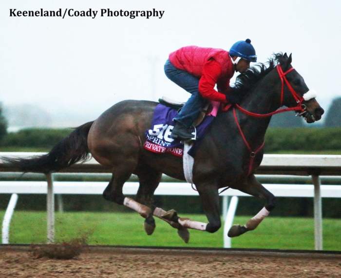 Five-Time Grade 1 Winner Private Zone Retired To Old Friends - Paulick ...