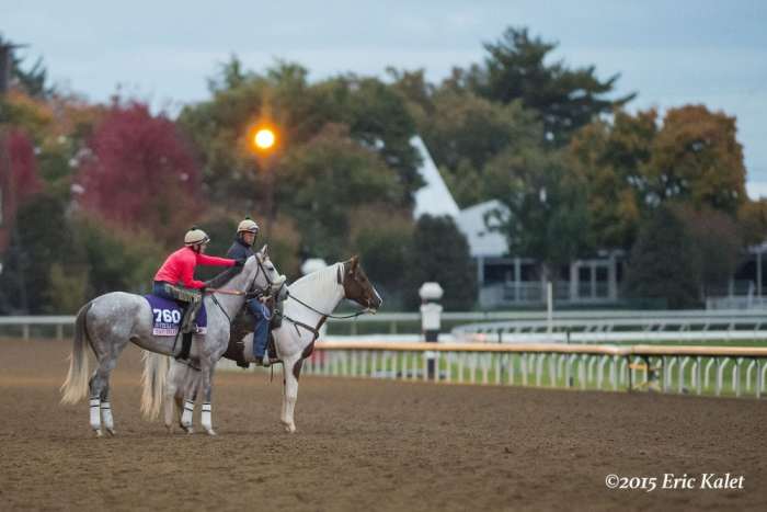 Absorbine Presents Eric Kalet's Breeders' Cup Photo Blog: Draw Day ...
