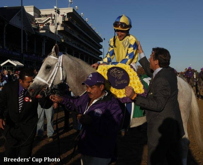 Kendall Hansen Hopes For Return To Derby Trail With New 2-Year-Old ...
