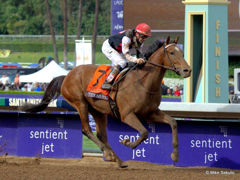 Texas Red to Make Three-Year-Old Debut in San Vicente - Paulick Report ...