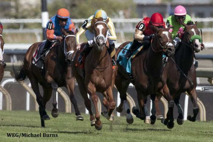 Longshot Sky Treasure Closes For Nassau Victory - Paulick Report ...