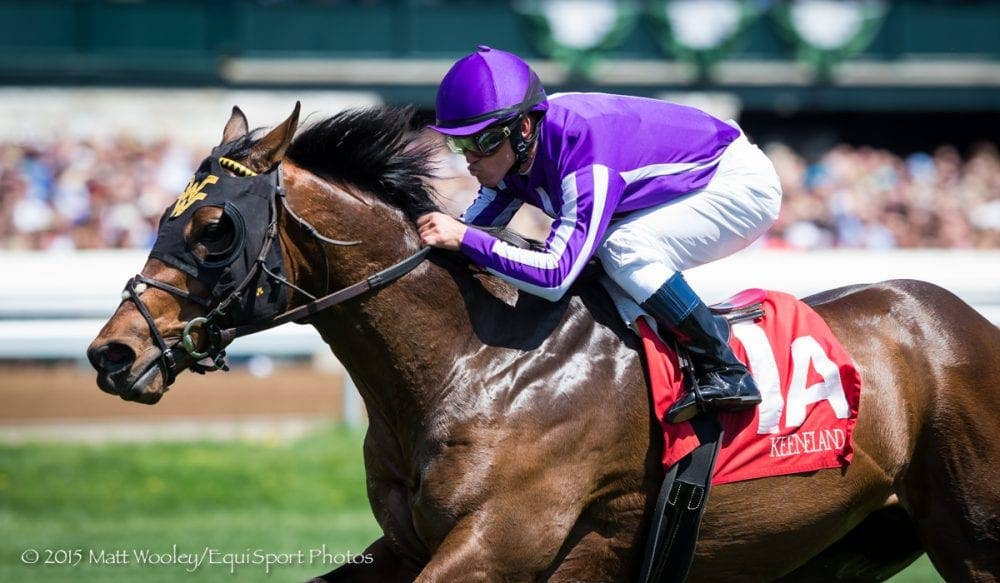 Trainer Wesley Ward Finalizes Royal Ascot Team - Paulick Report ...