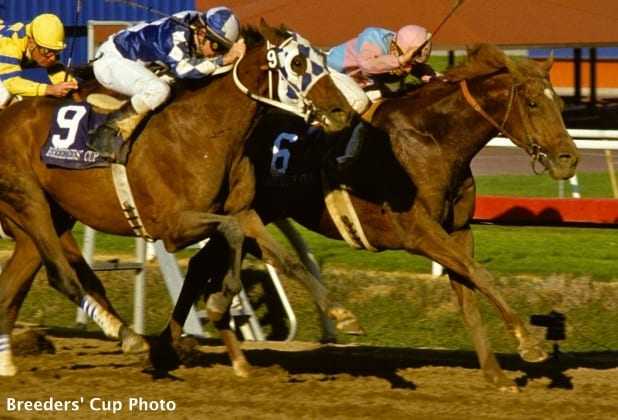 California Crown's Roots: From Glorious Goodwood To The Great Race ...