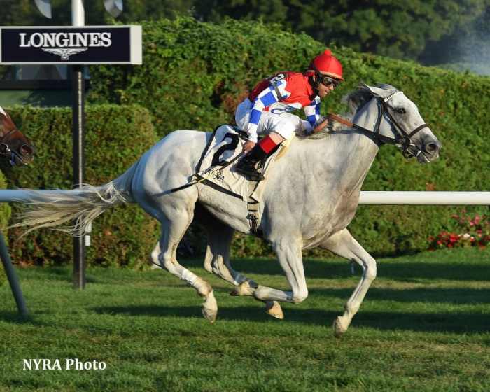 White Rose Takes Glens Falls In Course-Record Time - Paulick Report ...