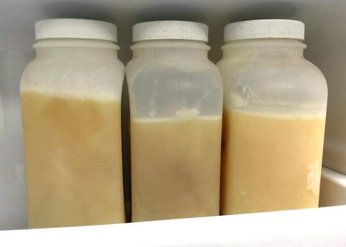 Colostrum Provides Foals With The Super Food They Need For A Good Start ...