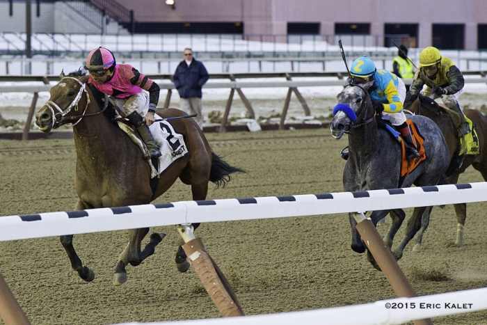 Ehalt: Withers Hero Far From Over Has Talent And Heart - Paulick Report ...