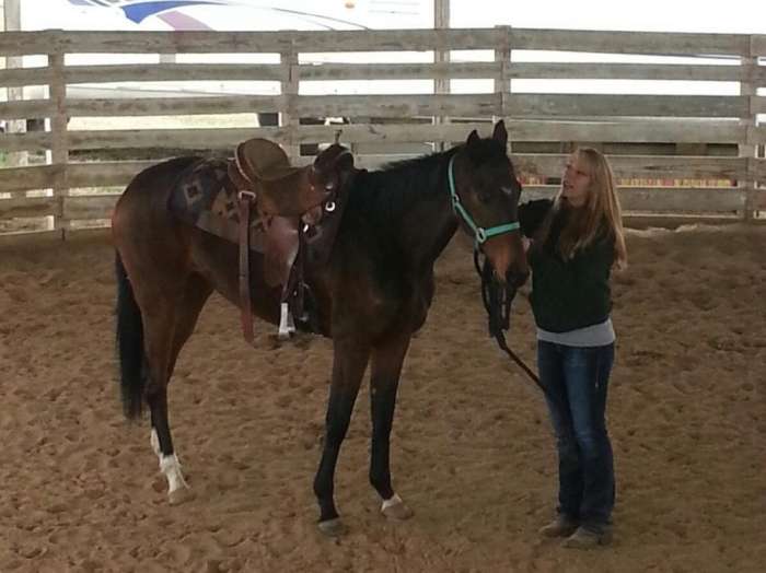 Cosequin Presents OTTB Showcase: Right Place, Right Time - Paulick ...