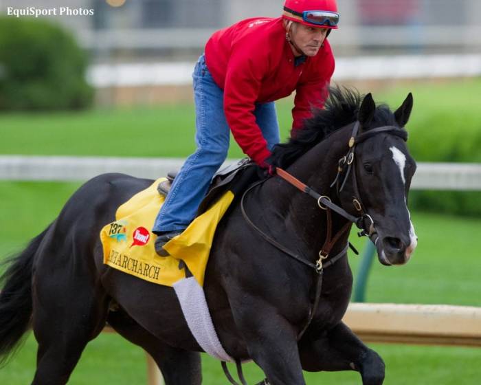 Illness Claims Grade 1 Winner Archarcharch In Korea - Paulick Report ...