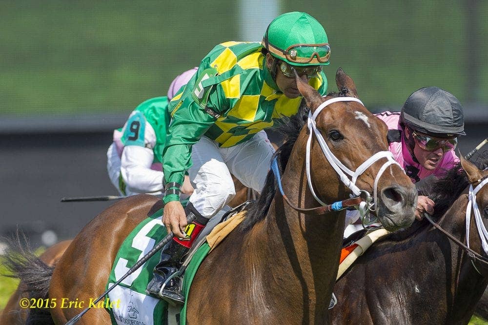 Finnegans Wake Moves To Wolfpaw Stables In Wyoming For 2025 - Paulick ...