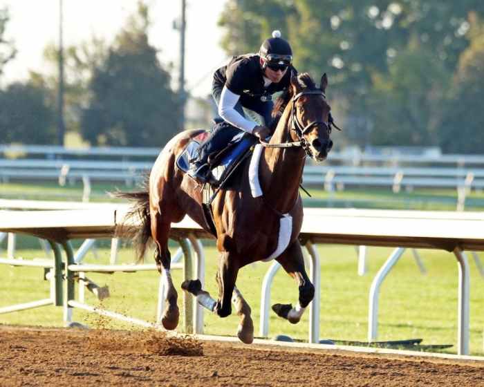 Sprint: Runhappy Lays Down 'Explosive' Work - Paulick Report | Latest ...