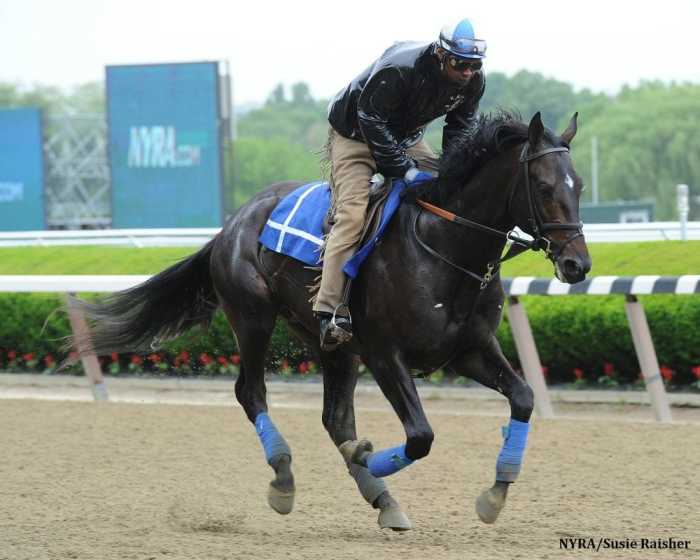 Isabela de Sousa, Rider of Cozmic One, Reflects On RRP Makeover ...