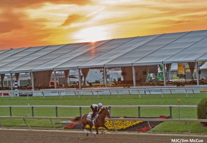 Pimlico Earns Reaccreditation From NTRA Safety & Integrity Alliance ...