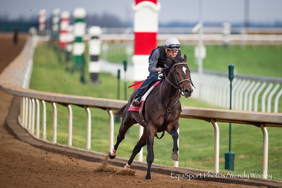 McCraken Breezes 'Very Good' Half At Keeneland As Final Prep For Blue ...