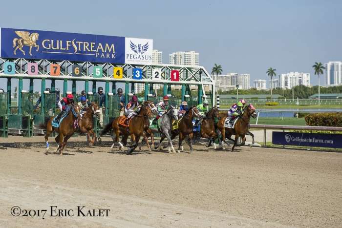 A 'New And Fun, Competitive Twist': FTBOA, Gulfstream Park Announce New ...