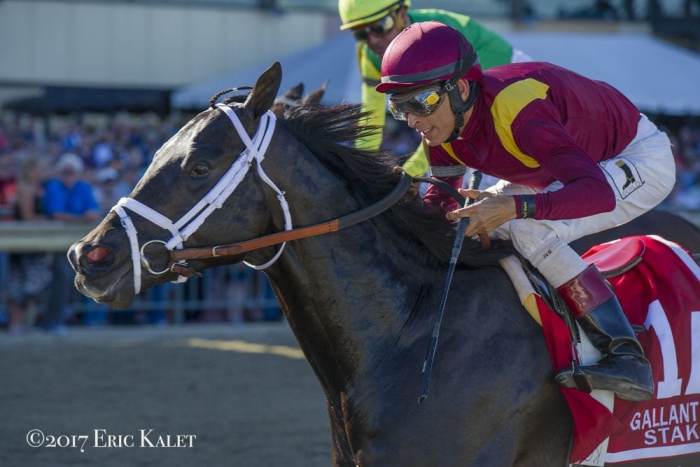 Coal Front Suffers Condylar Fracture In Saturday's Gallant Bob Victory ...