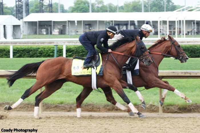 Brown 'Leaning Toward' Running Practical Joke In Small-Cup Blinkers ...