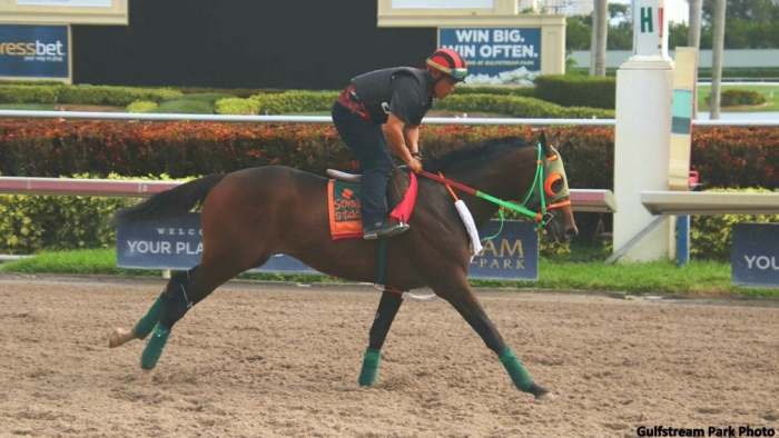 Puerto Rico Triple Crown Champ Justiciero Breezes Half-Mile Ahead Of ...