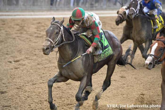 Bloodlines Presented By Merck Animal Health: Freshman 'Fire' - Paulick ...